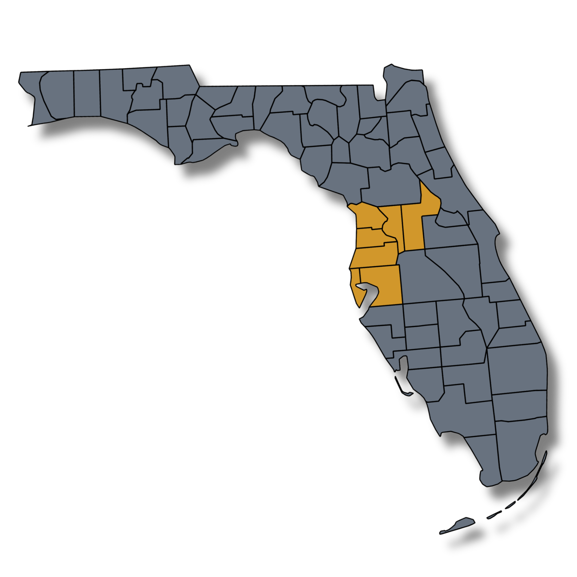 Florida Law Enforcement Liaison Program | One Team. One Goal. Save Lives.